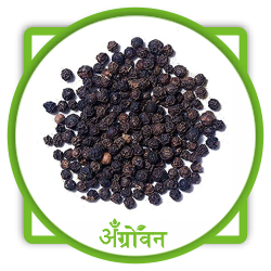 Miri lagwad khat vyavasthapan